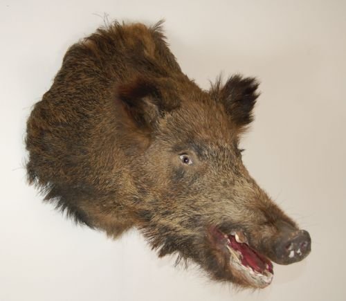 Lost and found in hotel rooms – The Travel Lady's Blog